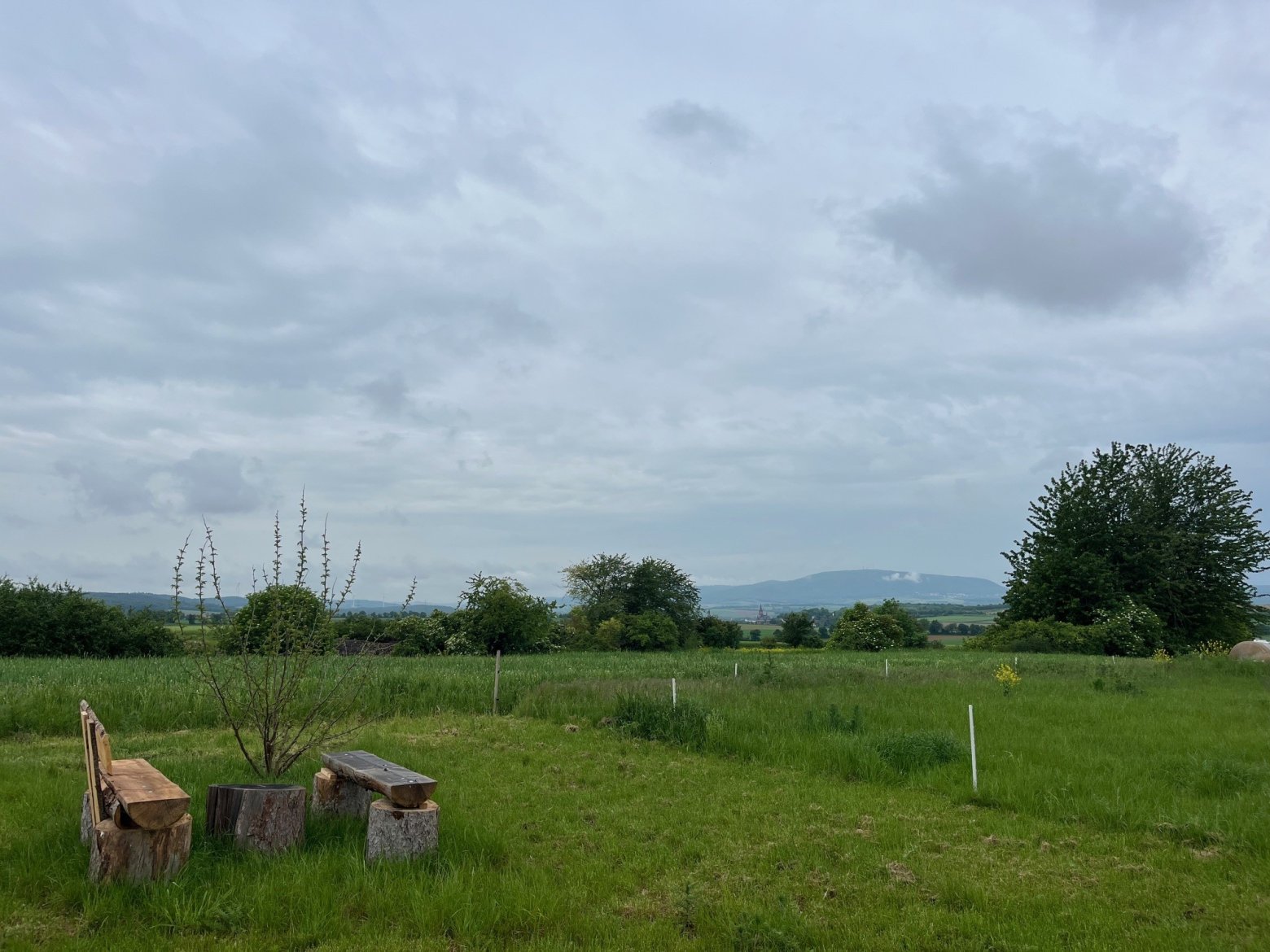 Aussichtspunkt und Eselwanderung | Verbandsgemeinde Göllheim
